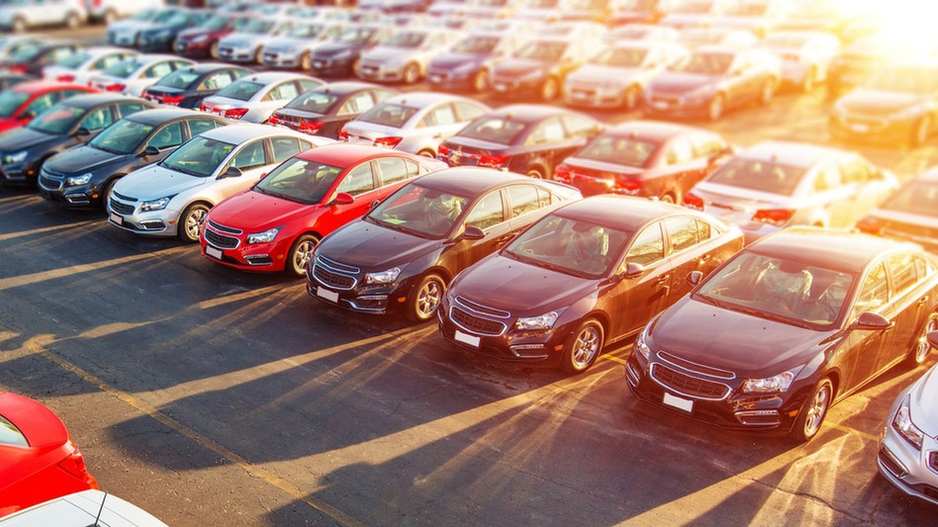 Autofile News Dealer Numbers On The Rise