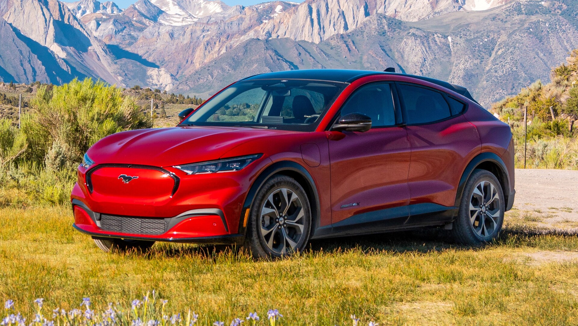 Autofile News Buyer Packages For Evs
