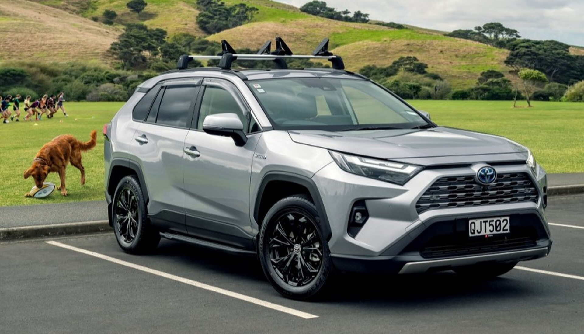 Autofile News Leader Increases Market Grip