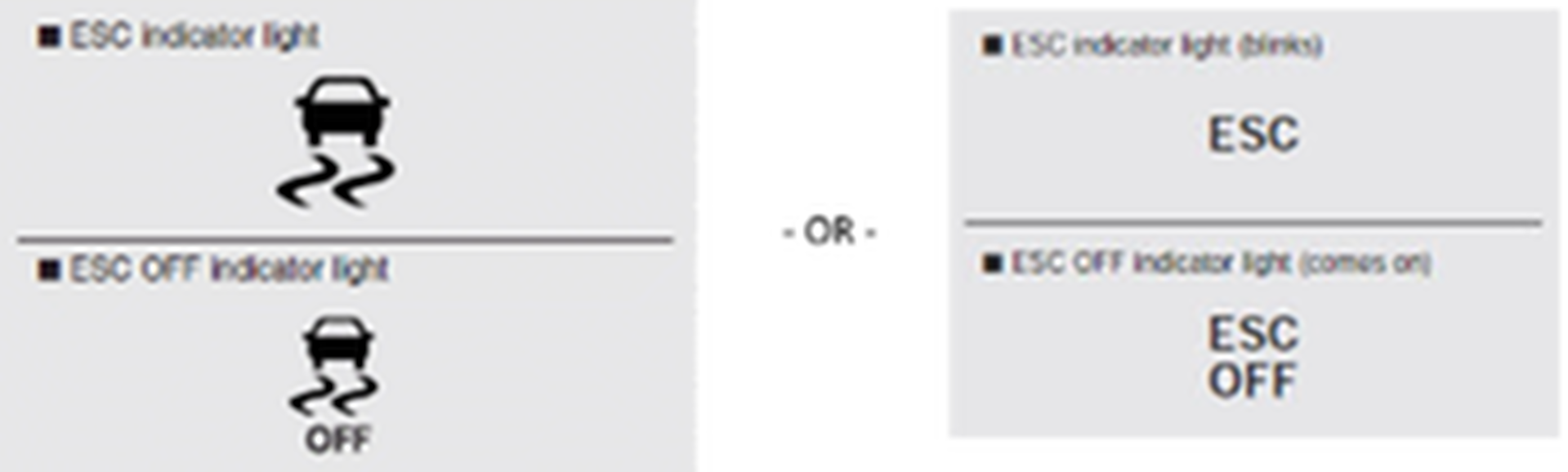 Autofile - News / IMVIA advice on ESC rule