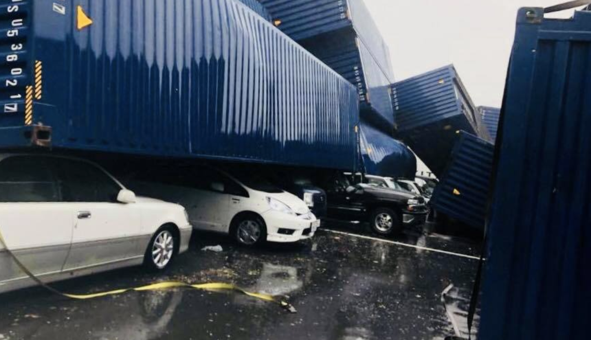 Autofile - News / Typhoon-damaged vehicles