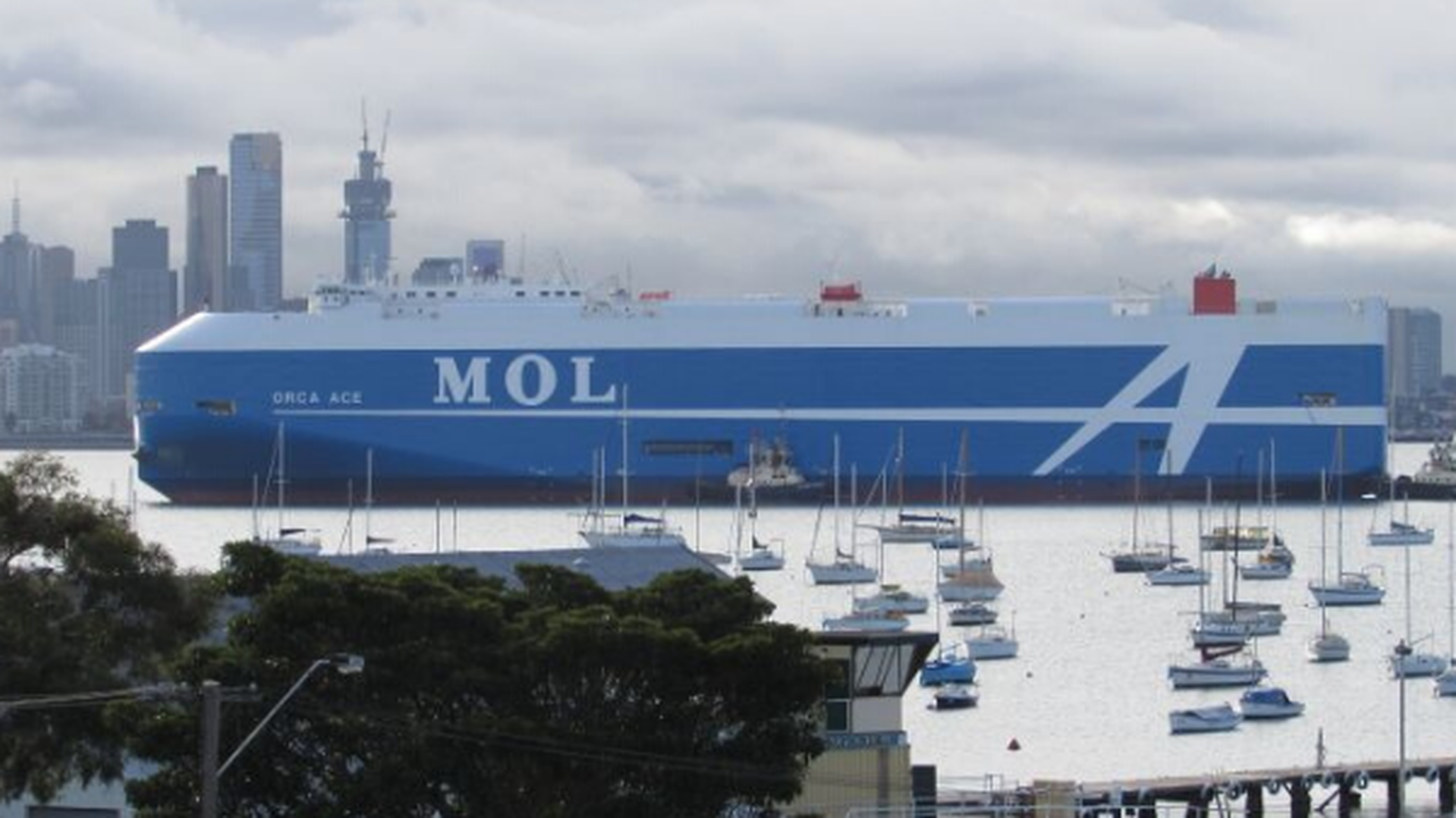 Autofile - News / Stink bug-infested car carriers sent to Asia