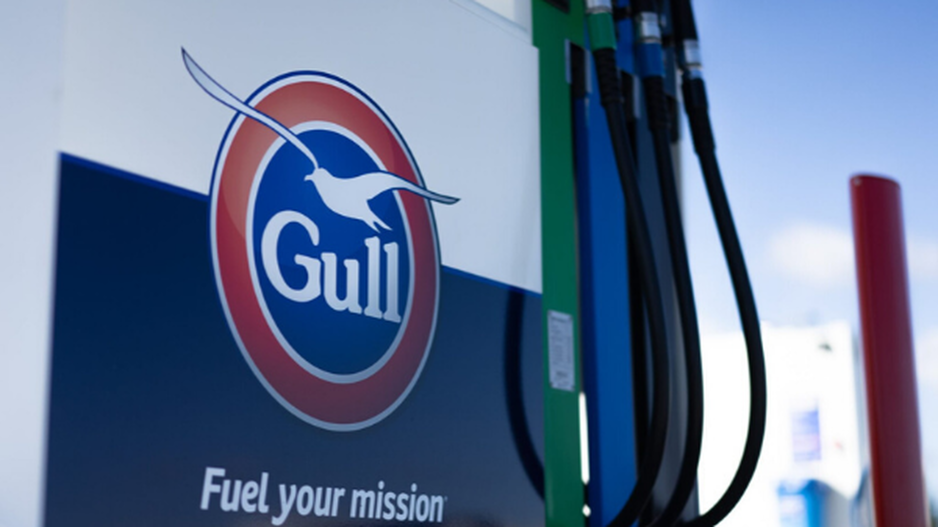 Gull Nz Logo