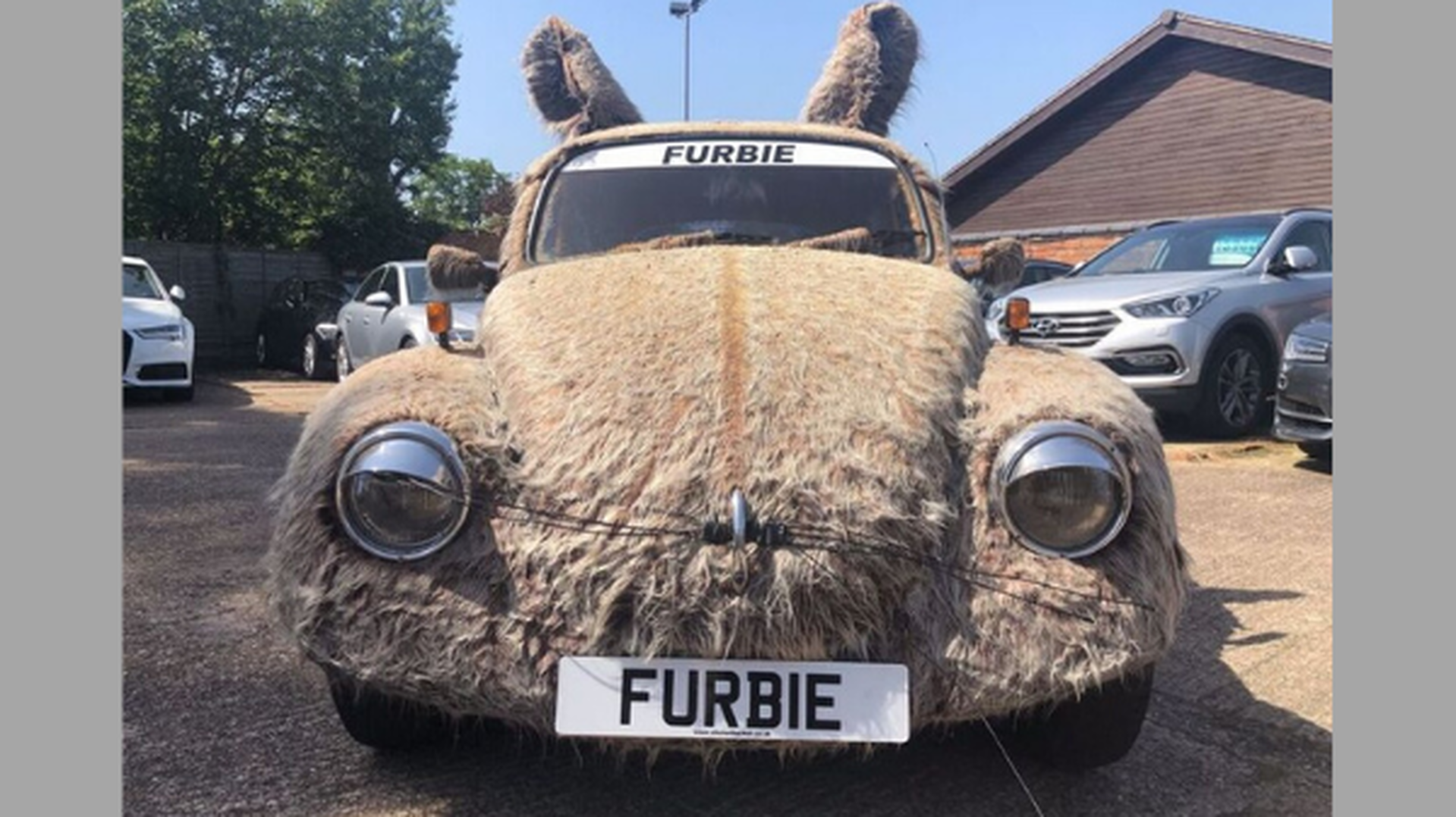 Autofile - News / Get the warm fuzzies with this Furby car