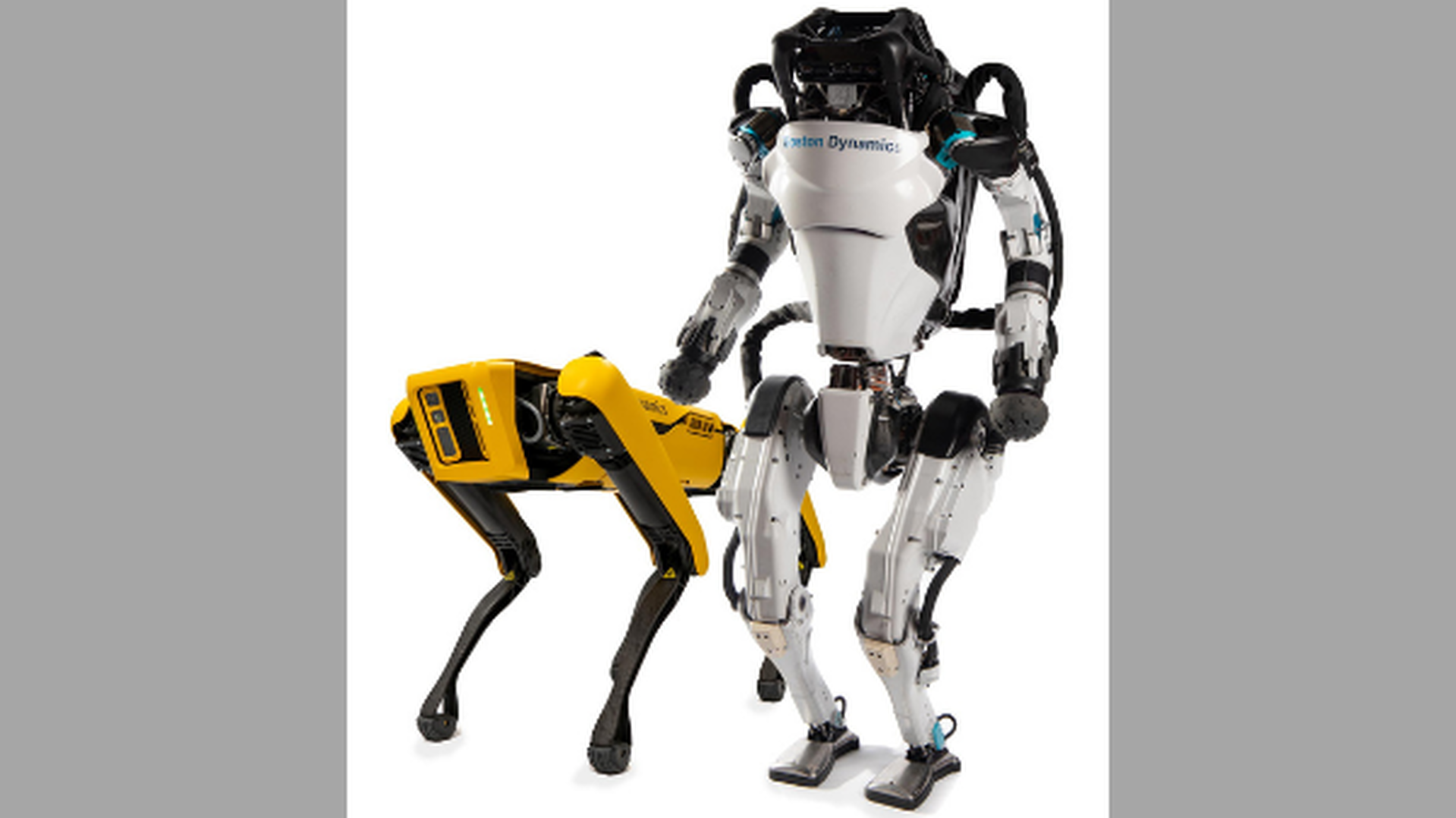 Autofile - News / Hyundai invests in robotics