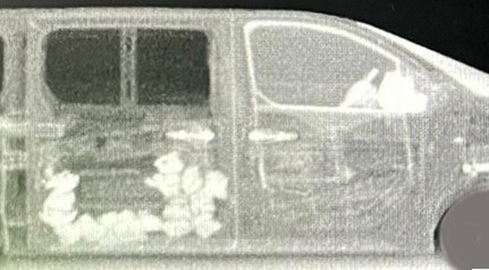 Autofile - News / Drugs imported in vans